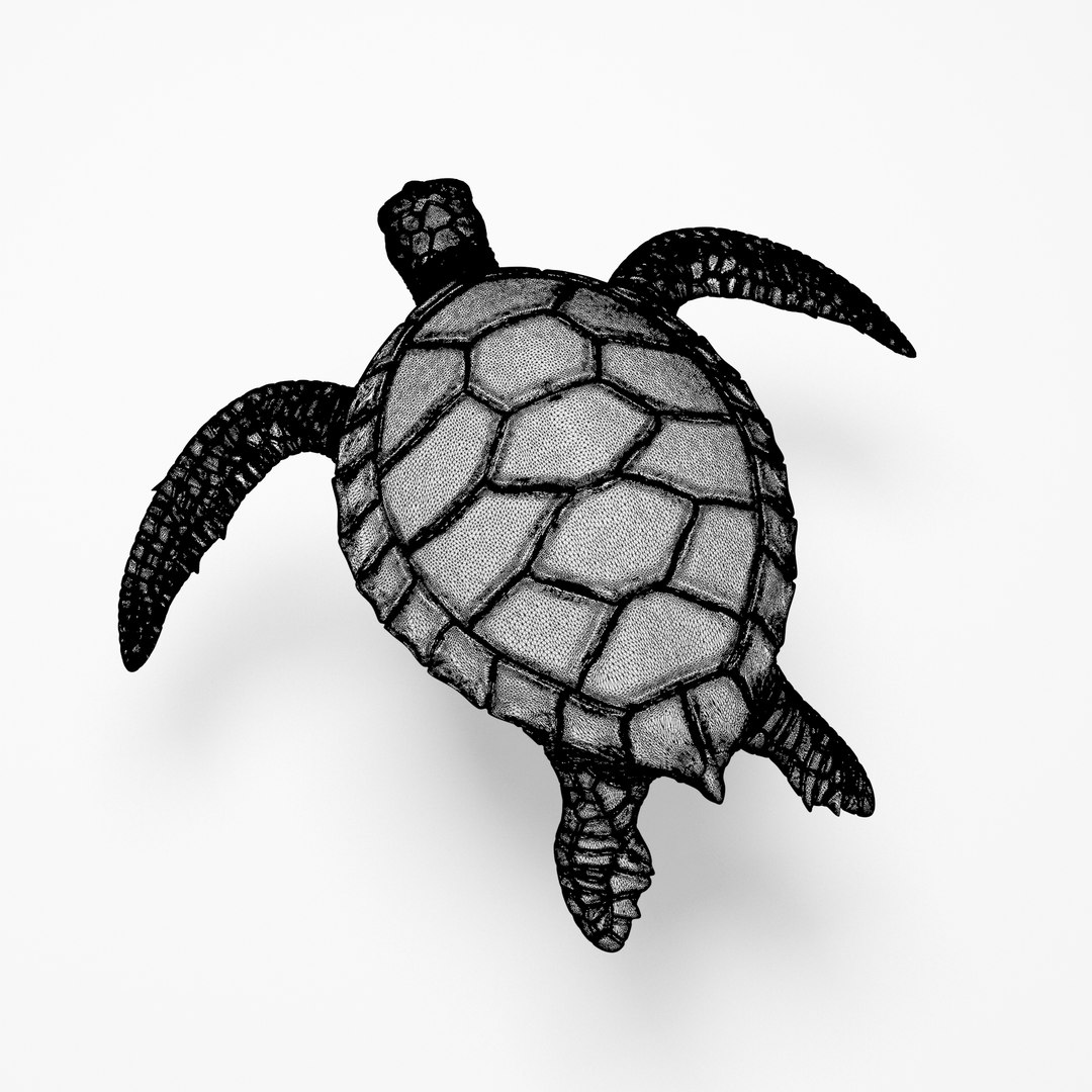 Turtle Print 3D Model - TurboSquid 1946713