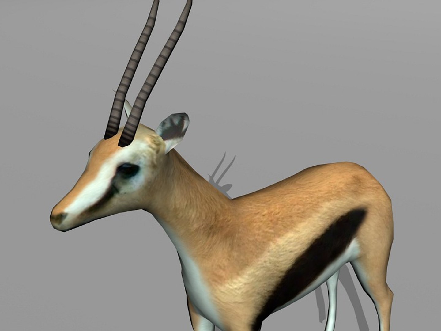 Thomson Gazelle 3d Model