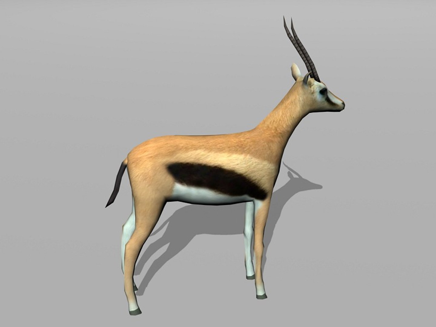 Thomson Gazelle 3d Model