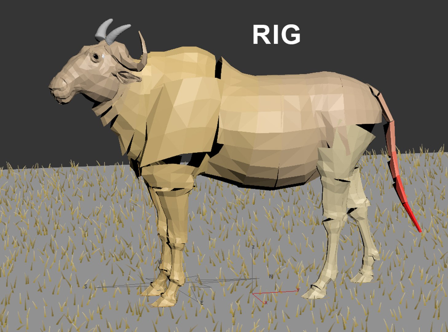 Cattle Animation 3D Model - TurboSquid 1496268