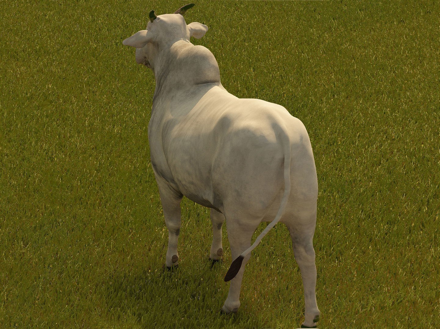 Cattle Animation 3D Model - TurboSquid 1496268