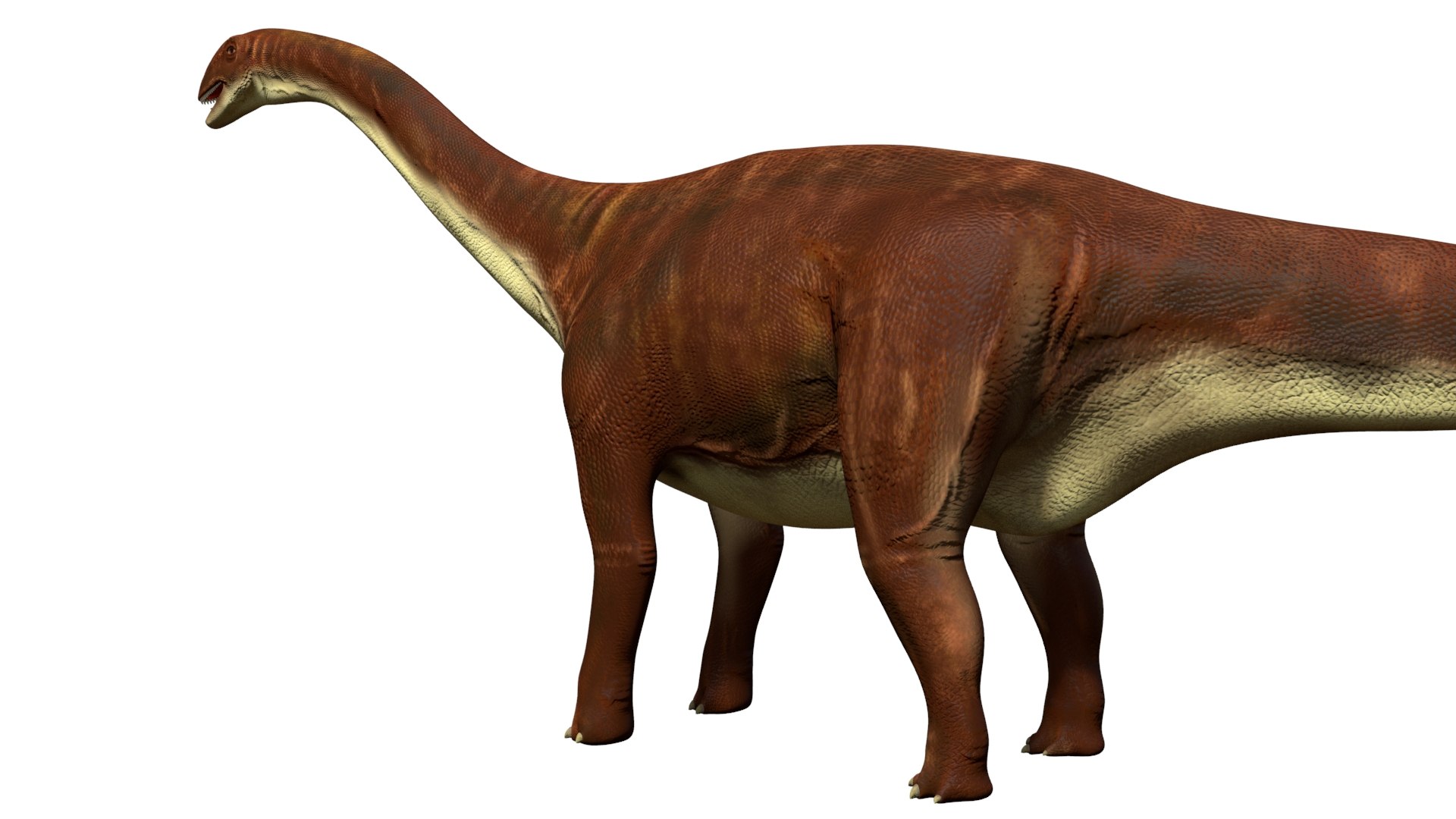 Patagosaurus Dinosaur Jurassic Animal 3D Model - TurboSquid 2337087