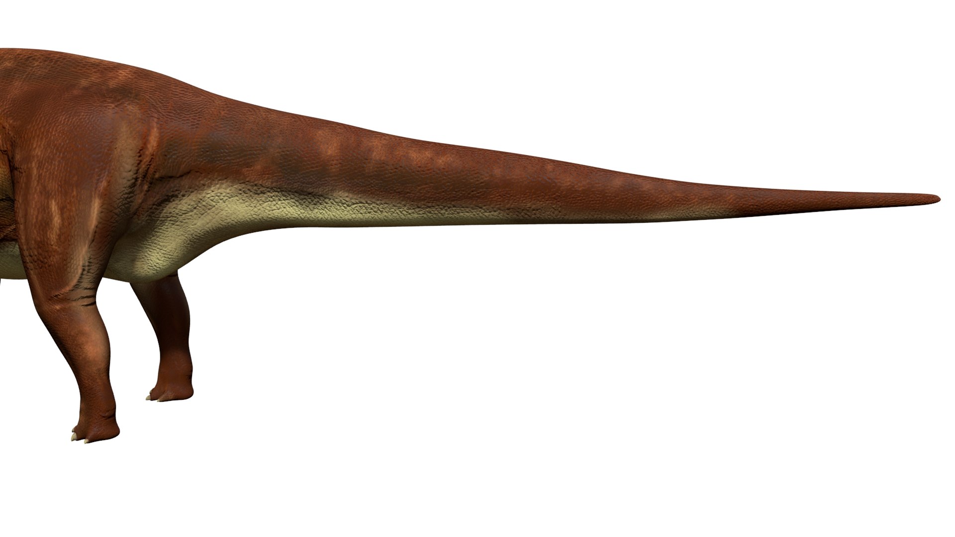 Patagosaurus Dinosaur Jurassic Animal 3D Model - TurboSquid 2337087