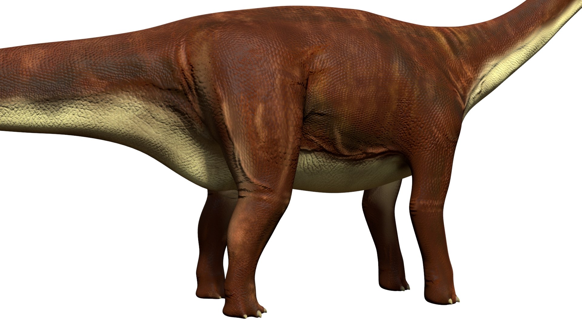 Patagosaurus Dinosaur Jurassic Animal 3D Model - TurboSquid 2337087