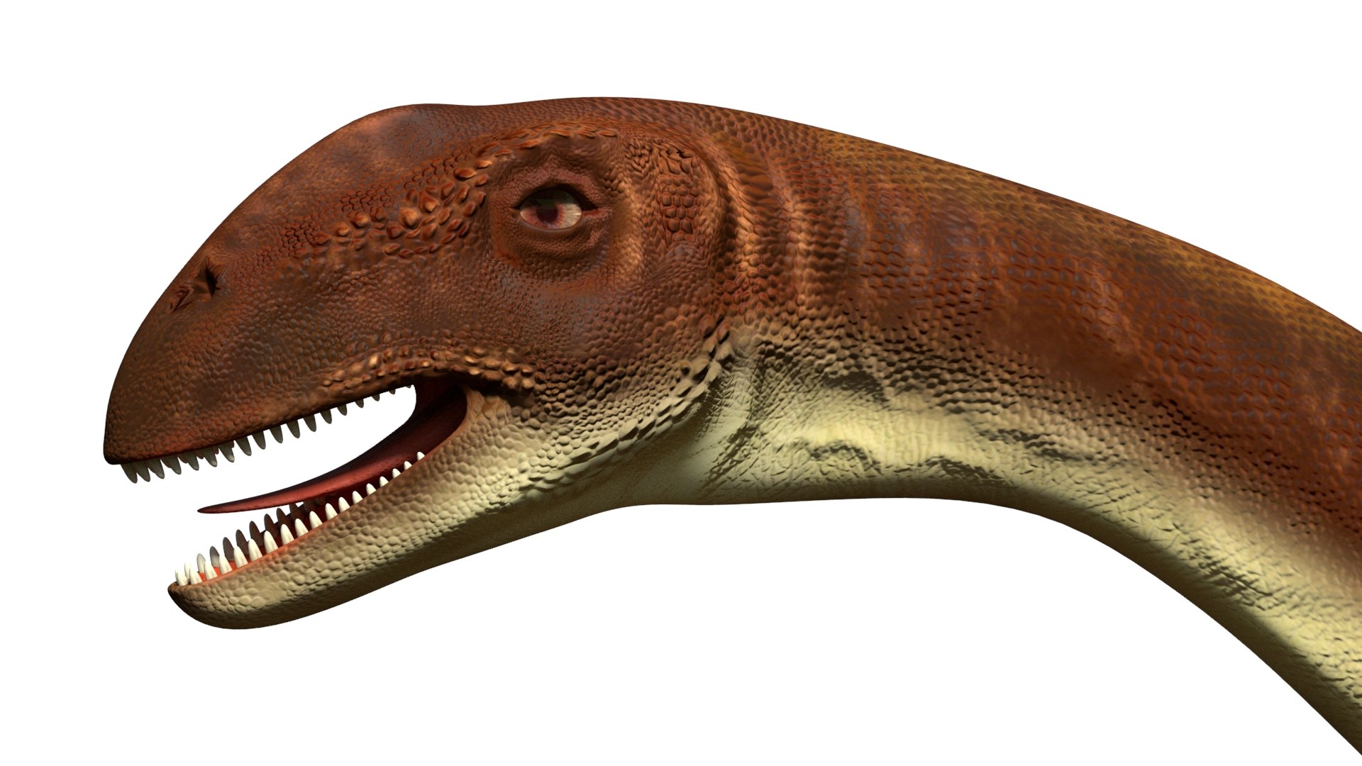 Patagosaurus Dinosaur Jurassic Animal 3D Model - TurboSquid 2337087