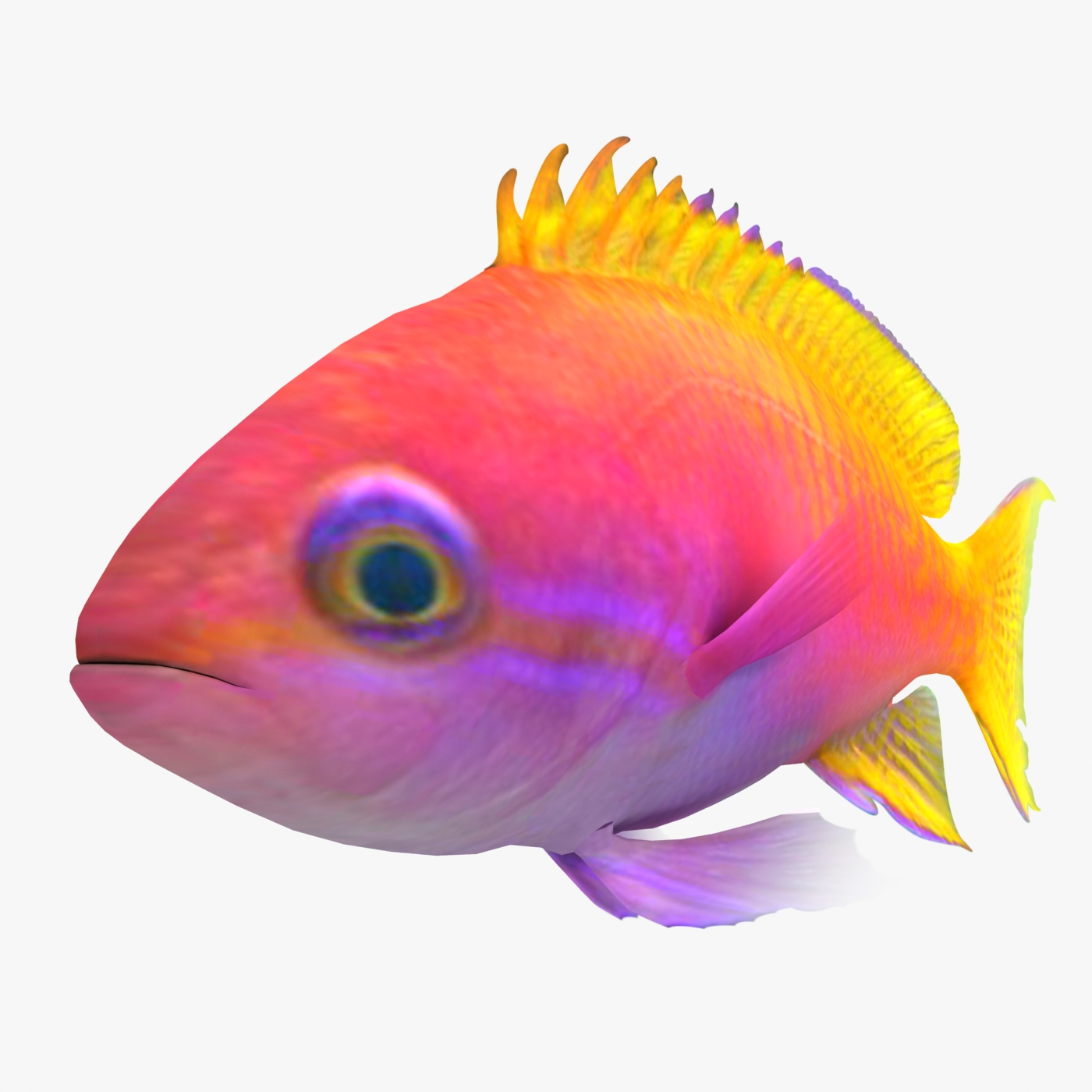 3d neon anthias fish
