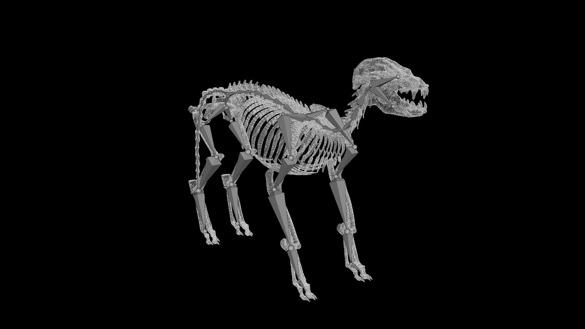 Rigged Fox Skeleton Model - TurboSquid 1885056
