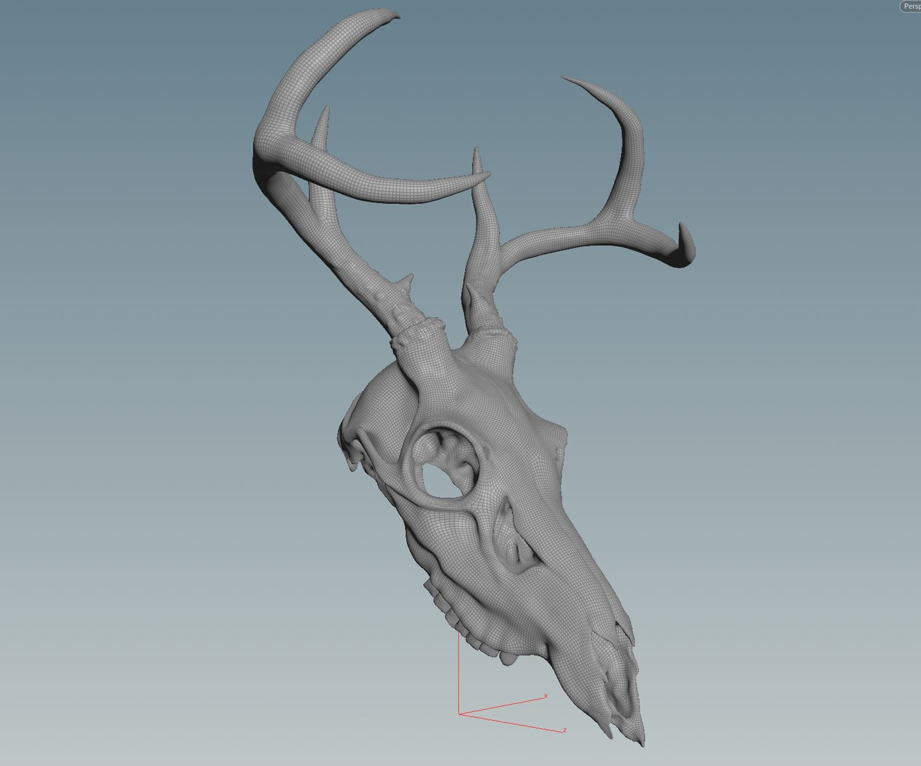 3D deer skull - TurboSquid 1340885