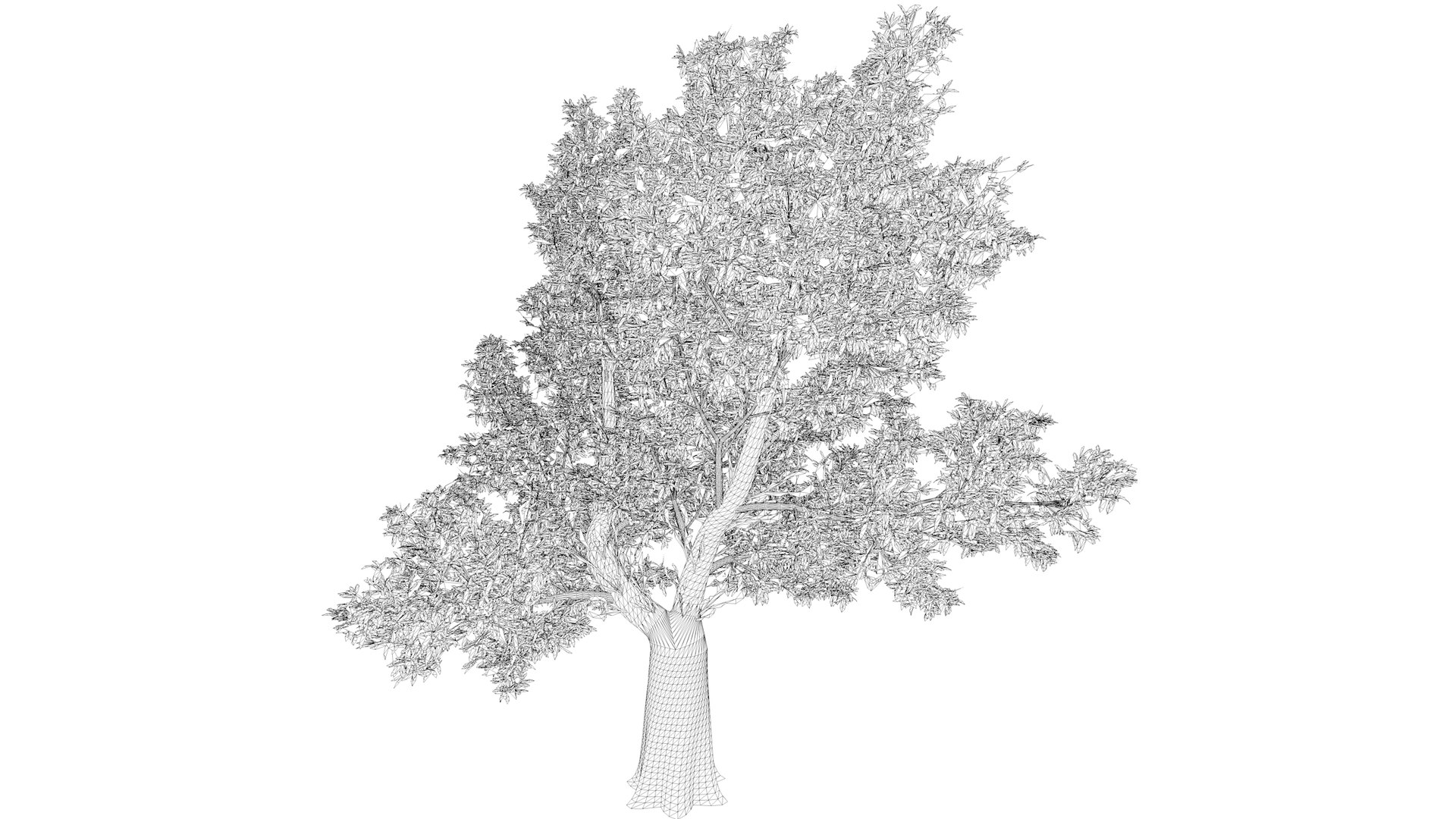 3D Red Gum Tree - 05 - Model - TurboSquid 2377692