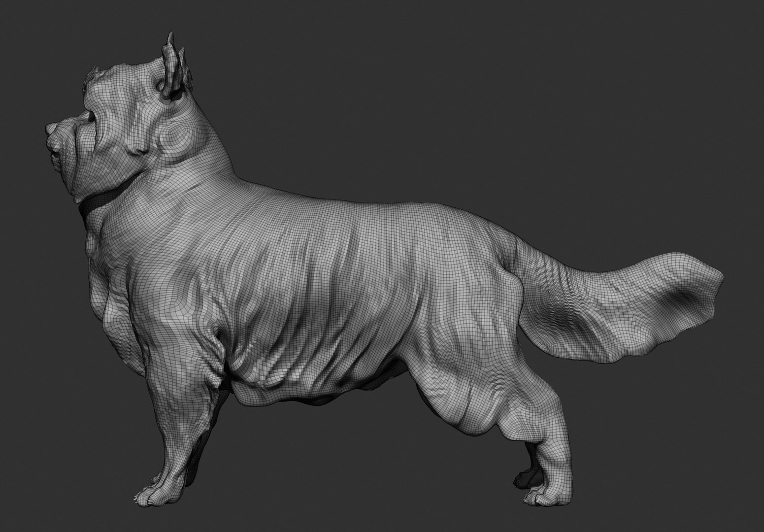 3D Yorkie terrier model - TurboSquid 2151047
