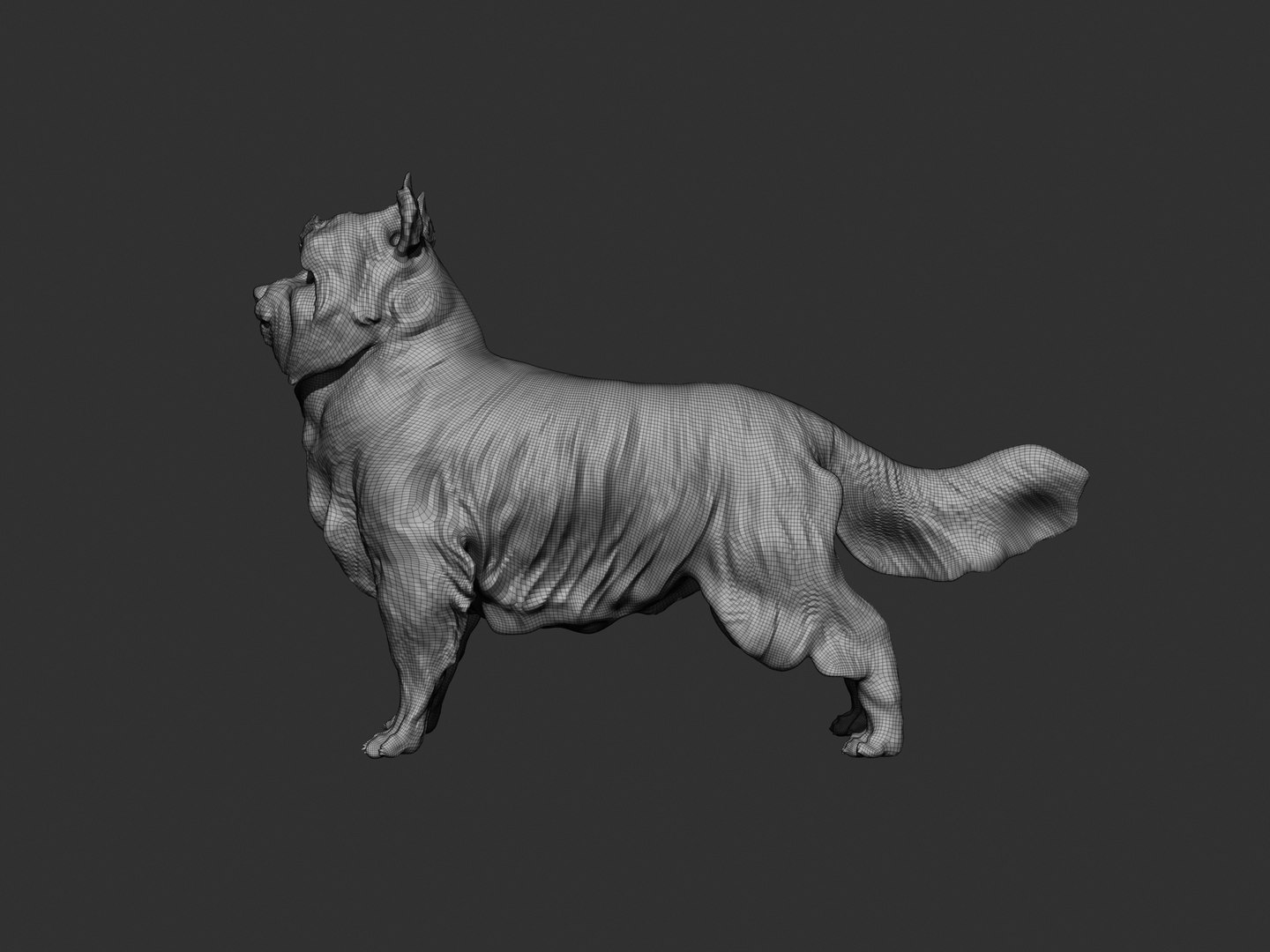 3D Yorkie terrier model - TurboSquid 2151047