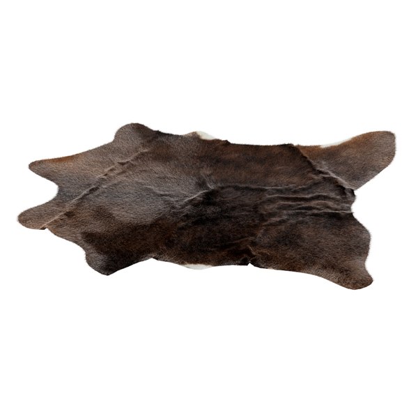 Animal skin rug 16 3D - TurboSquid 1787388