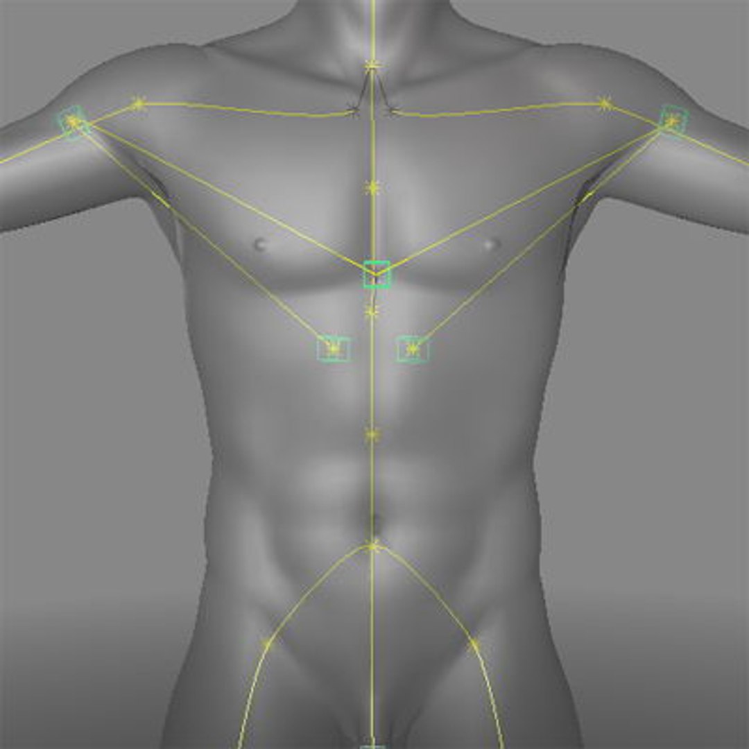 Eric Realistic Male Anatomy Body 3d Model