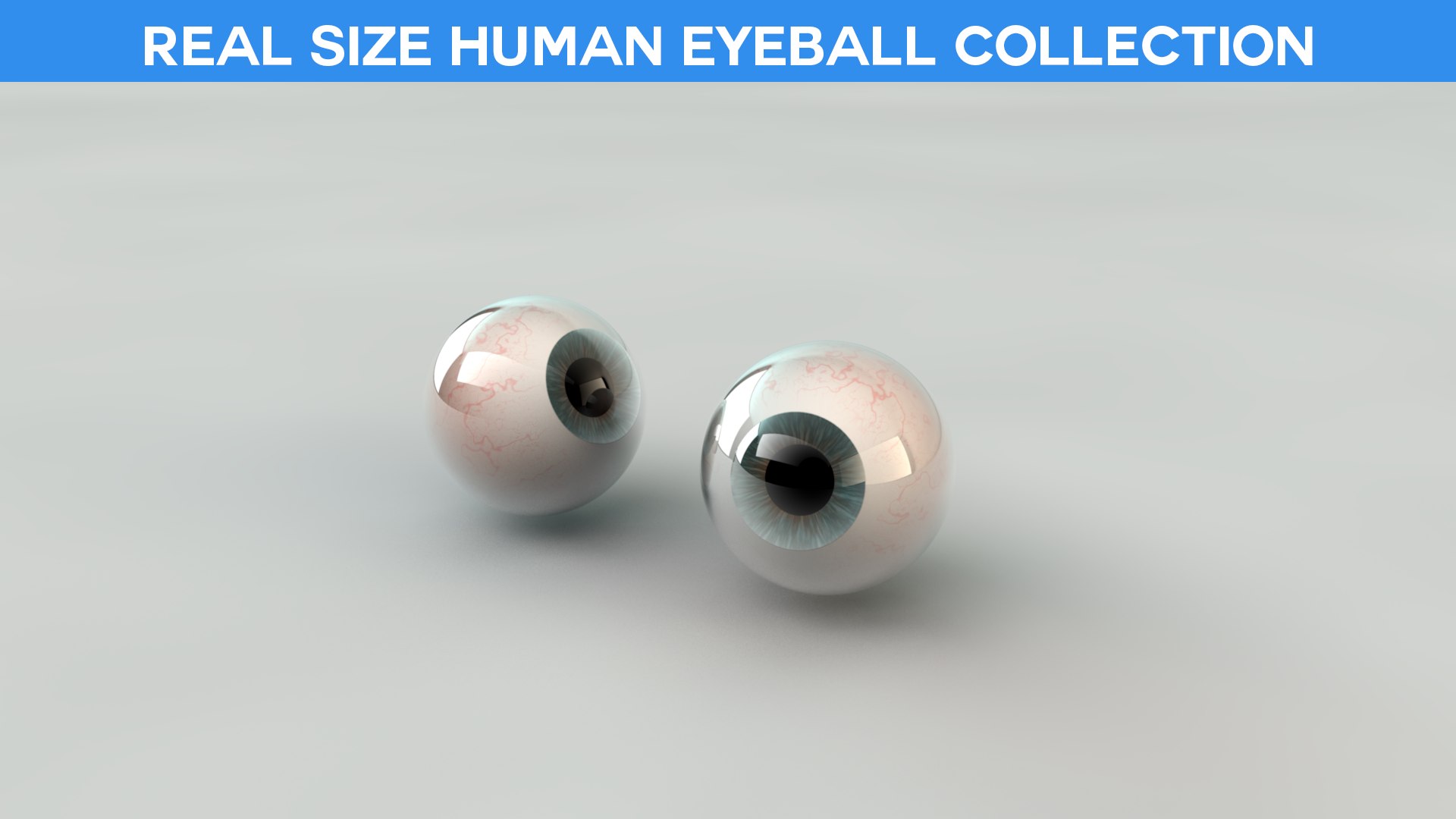 Eyeball Eye Obj Free