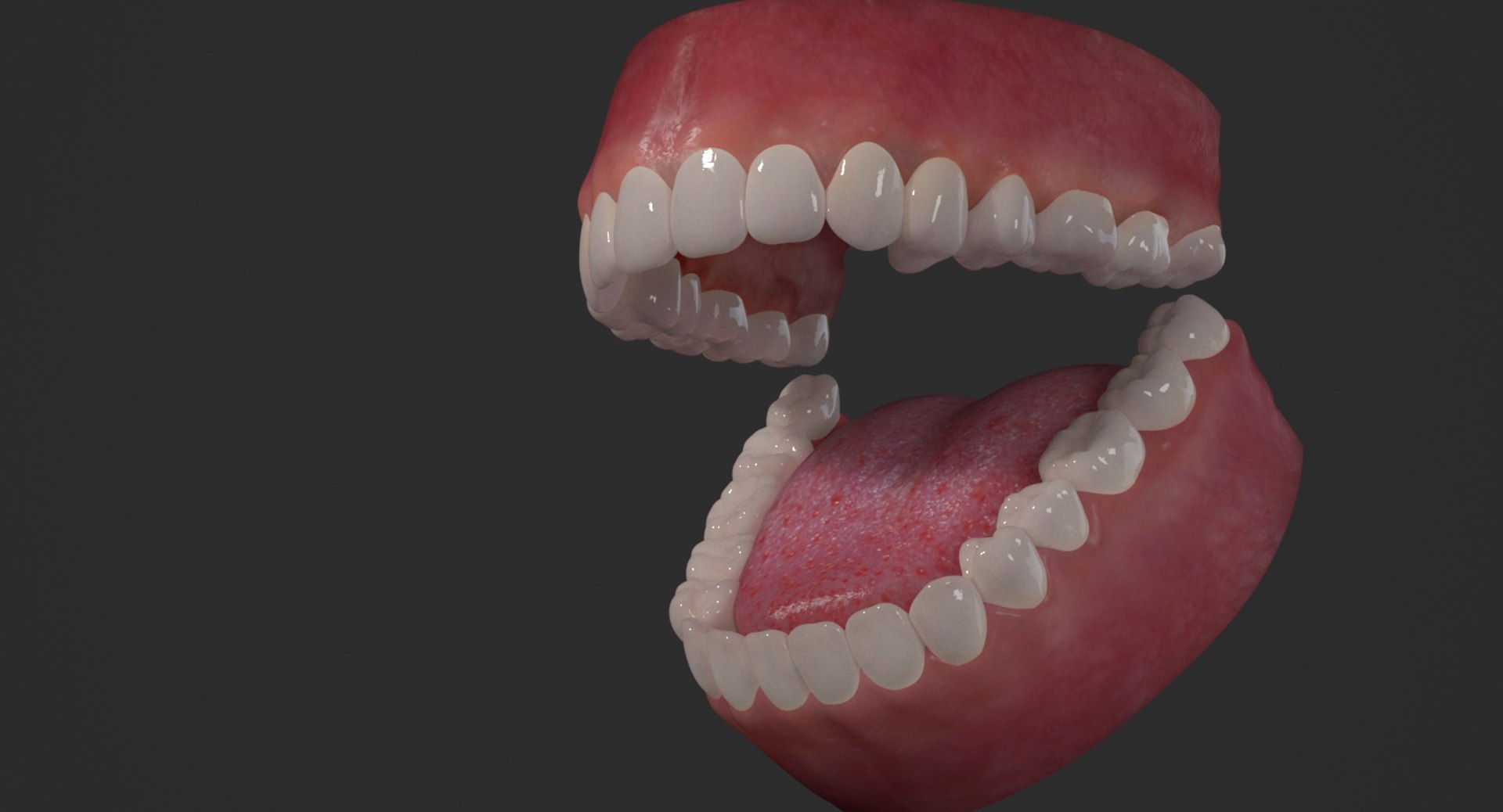 Realistical Human Mouth 3D Model - TurboSquid 1173846