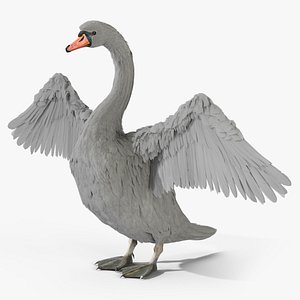 3D Swan Models - Browse & Download Formats - TurboSquid