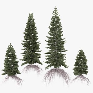 Free 3D Spruce-Tree Models | TurboSquid