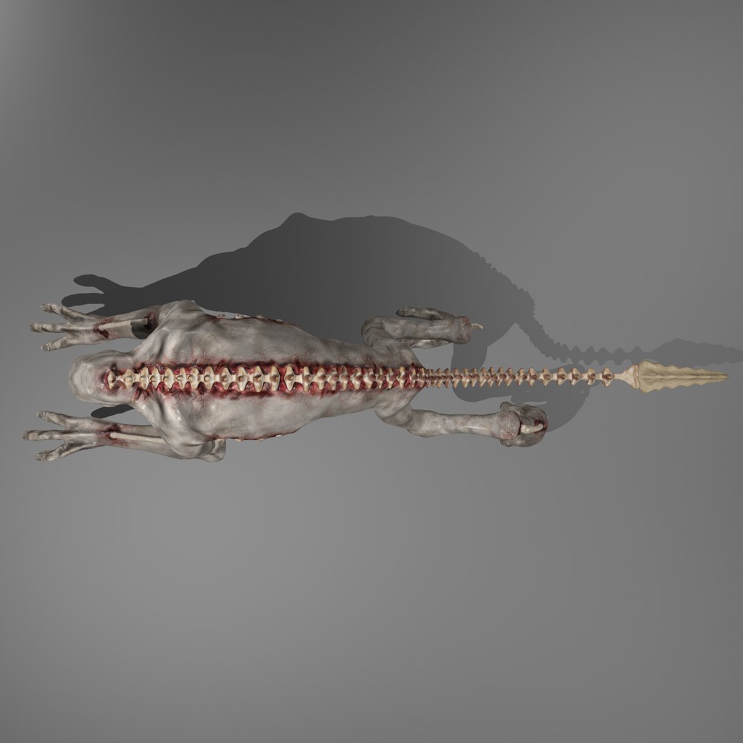 monster rigged 3d max