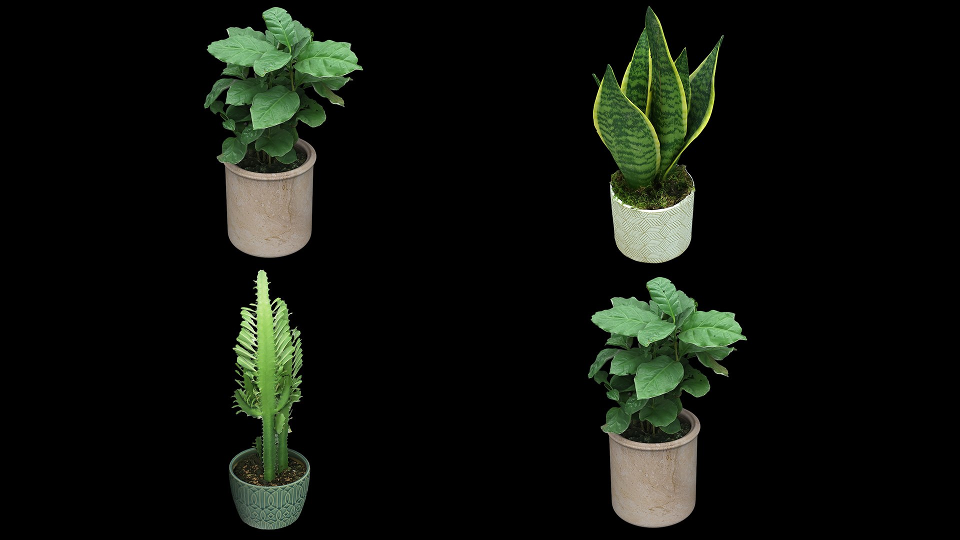 3D Plant Collection 02 - TurboSquid 2149821