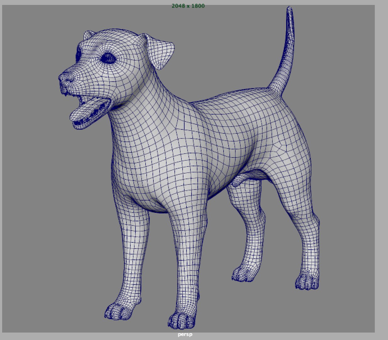 3D Jack Russell Dog Fur - TurboSquid 1473384