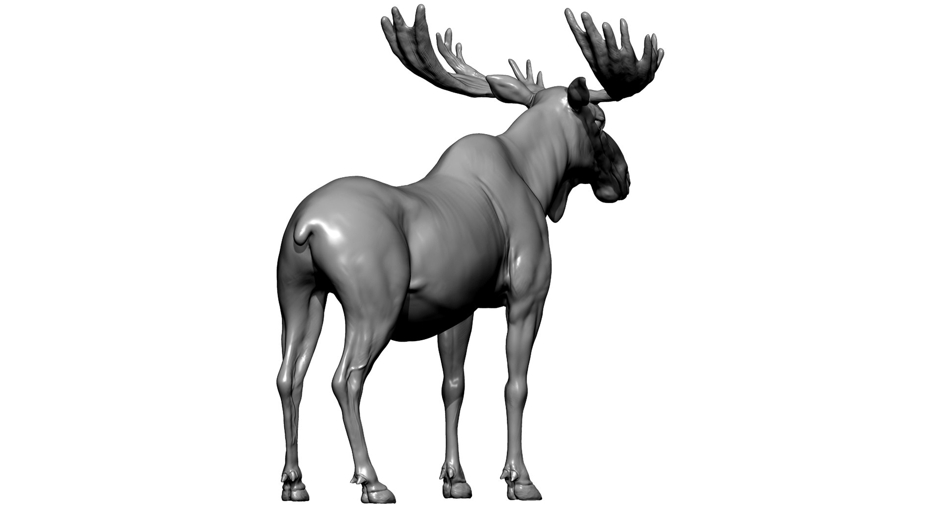 3D Moose Hair - TurboSquid 1207849