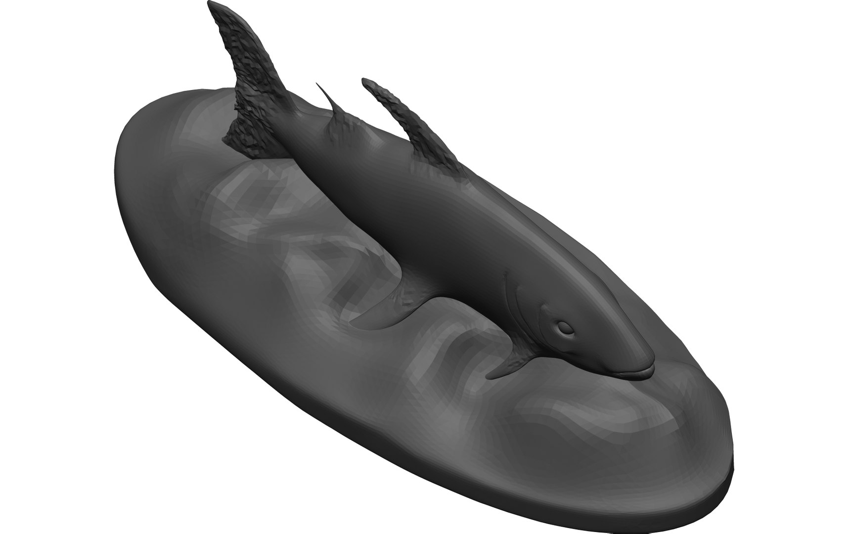 3D Model Trout Stl - TurboSquid 1774306