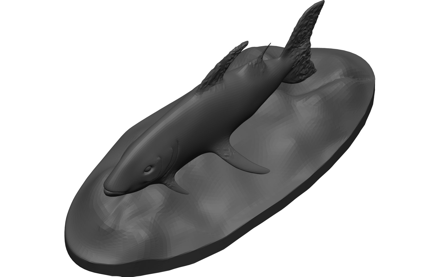 3D Model Trout Stl - TurboSquid 1774306
