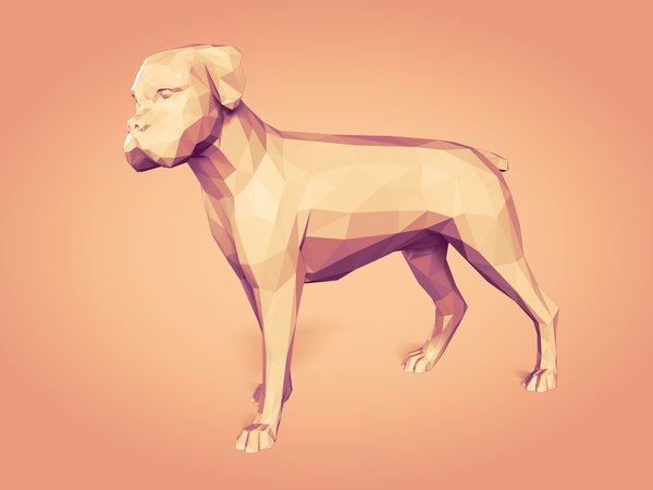 3d model boxer dog