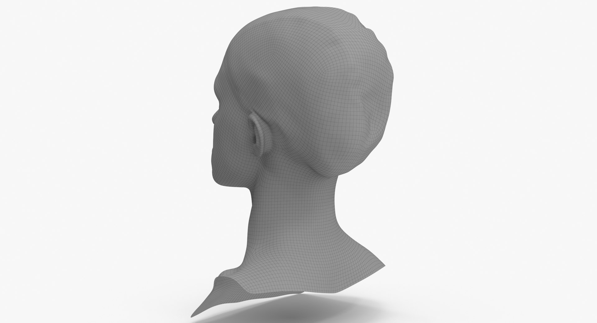 3D penelope human head jaw - TurboSquid 1695798