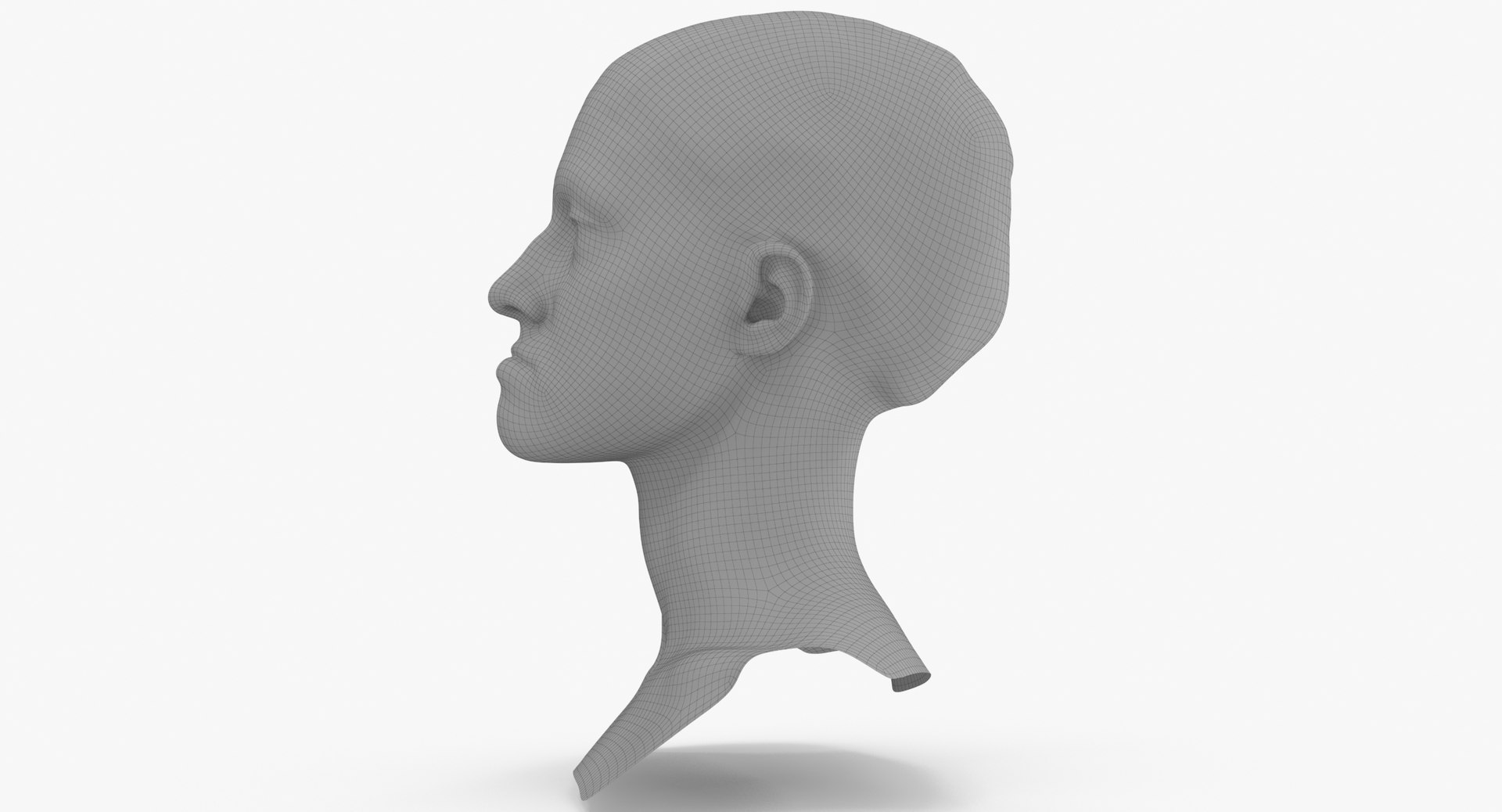 3D penelope human head jaw - TurboSquid 1695798