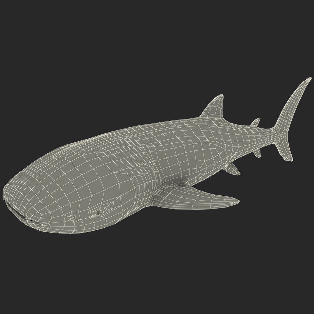 Sea Predator 3d Model