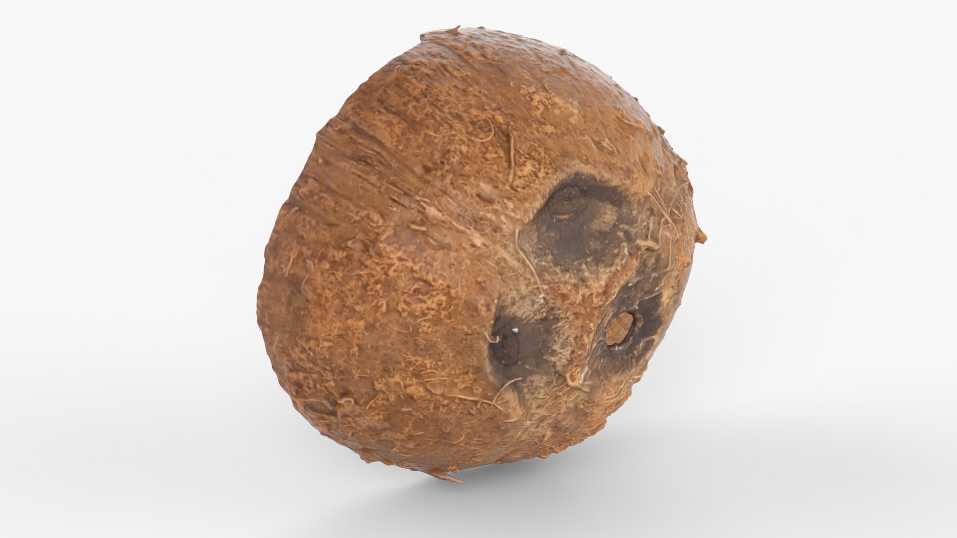3D Photorealistic 3D Scan Of Coconut Skin - TurboSquid 2291678