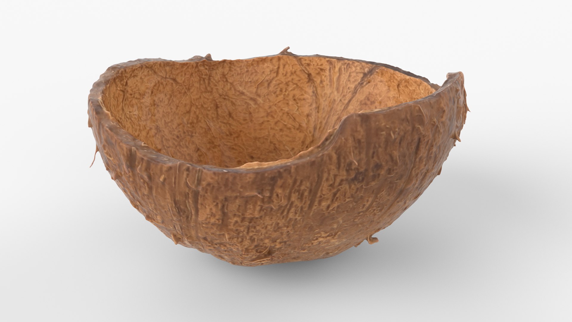 3D Photorealistic 3D Scan Of Coconut Skin - TurboSquid 2291678