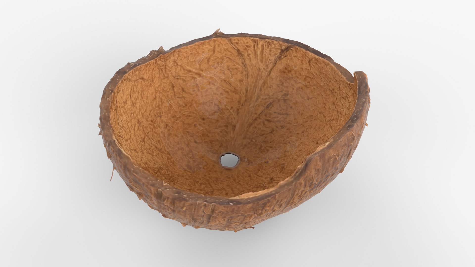 3D Photorealistic 3D Scan Of Coconut Skin - TurboSquid 2291678