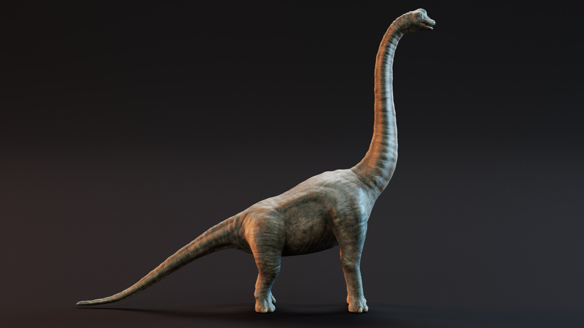 3D модель Брахиозавр - TurboSquid 1723236