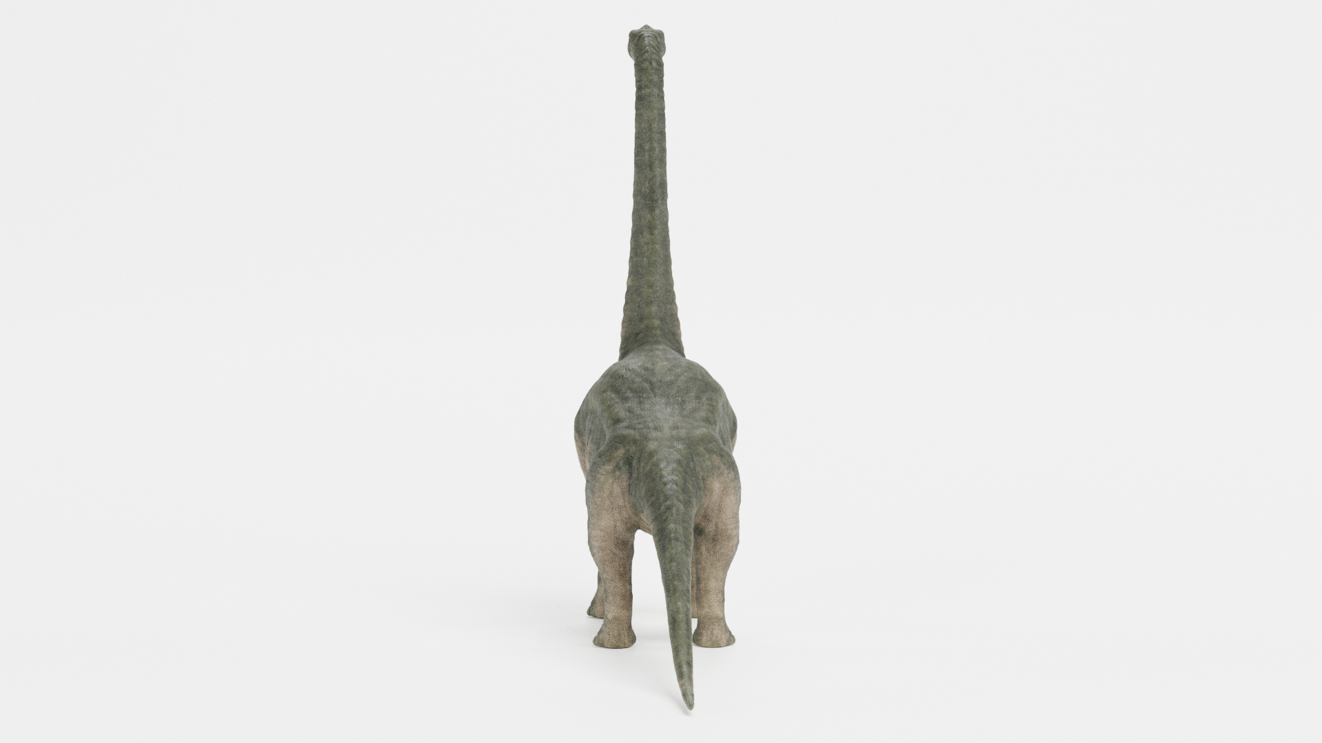 Brachiosaurus 3D model - TurboSquid 1723236