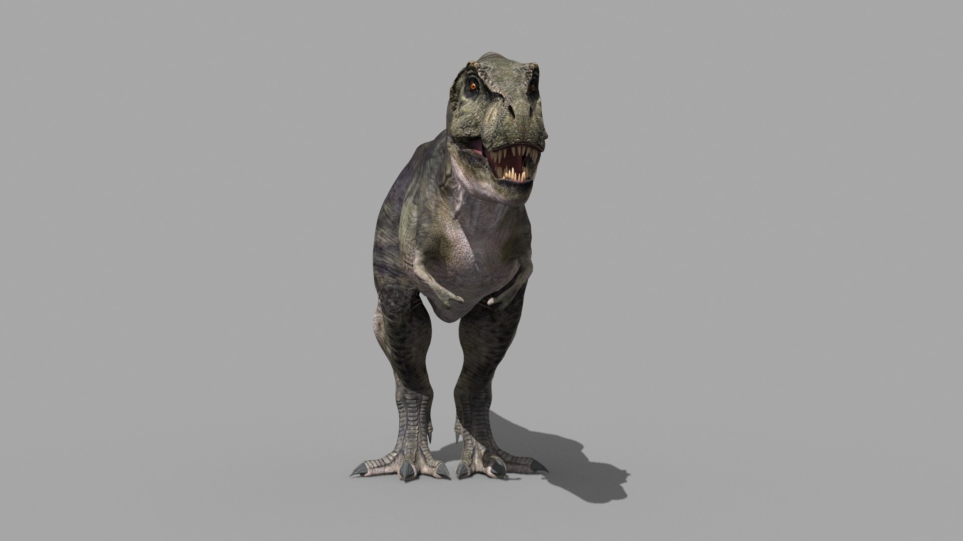 Accurate T Rex 8K - Fully Animated 3D Model - TurboSquid 2347827