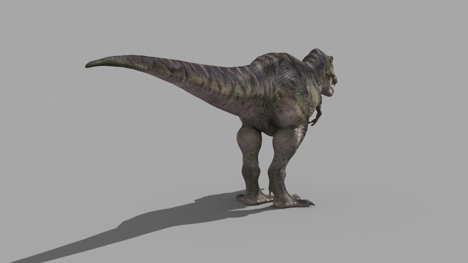 Accurate T Rex 8K - Fully Animated 3D Model - TurboSquid 2347827