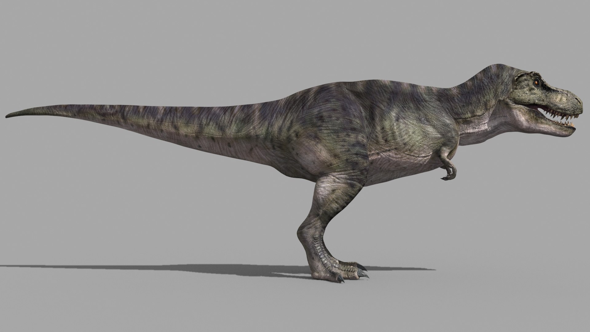 Accurate T Rex 8K - Fully Animated 3D Model - TurboSquid 2347827