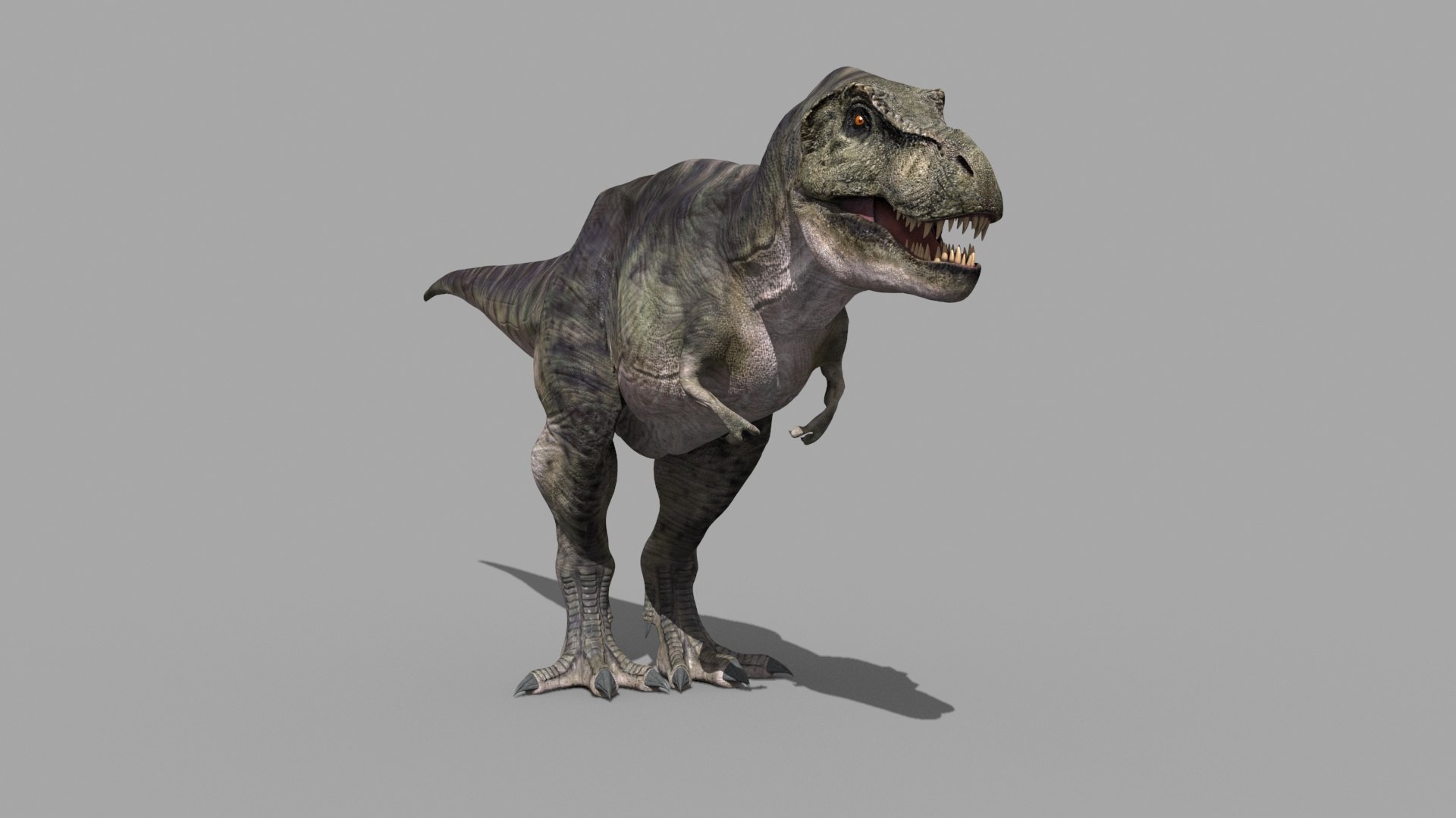Accurate T Rex 8K - Fully Animated 3D Model - TurboSquid 2347827