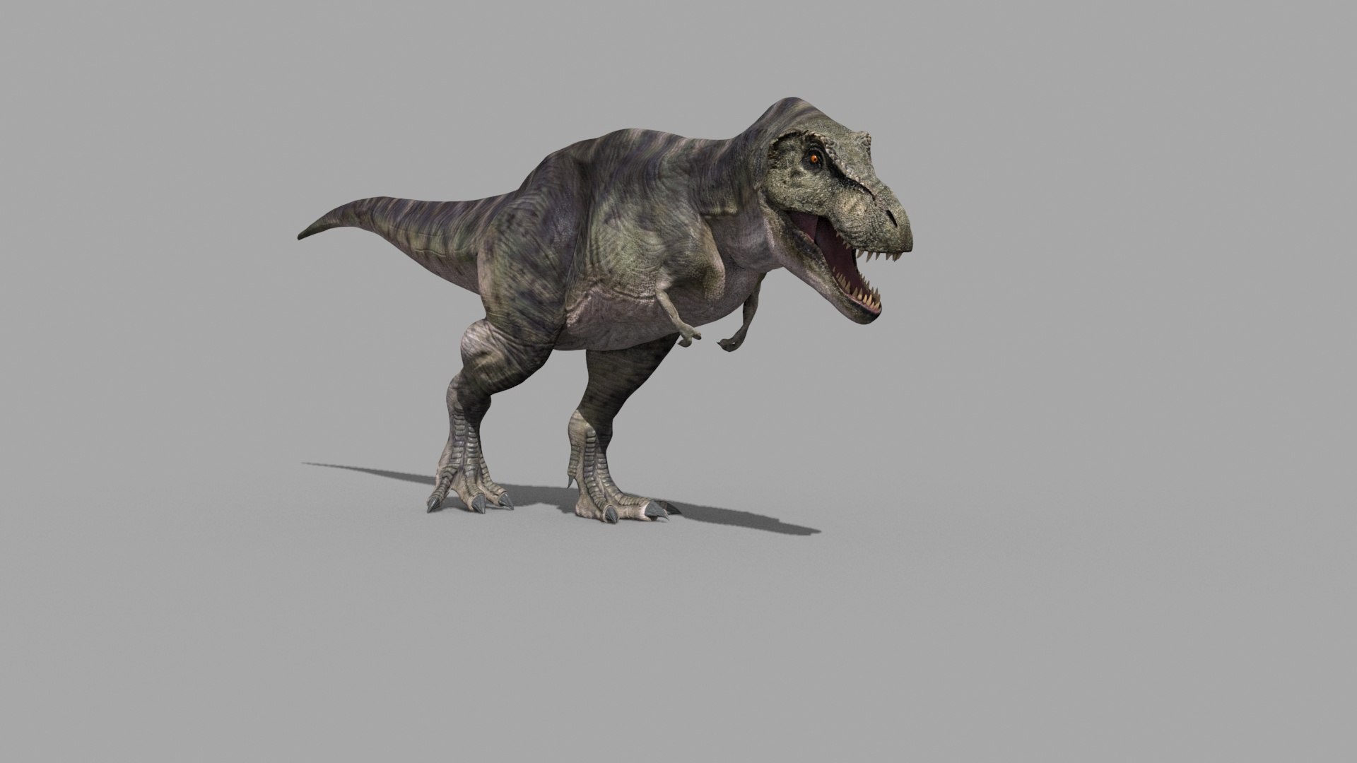 Accurate T Rex 8K - Fully Animated 3D Model - TurboSquid 2347827