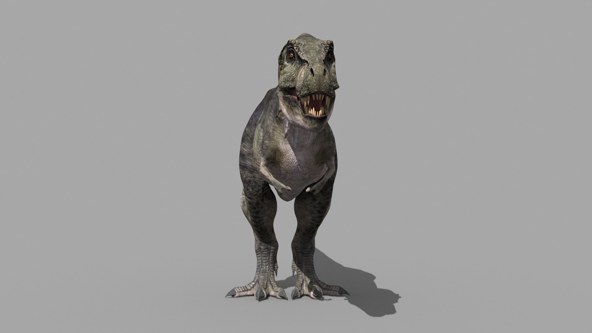 Accurate T Rex 8K - Fully Animated 3D Model - TurboSquid 2347827