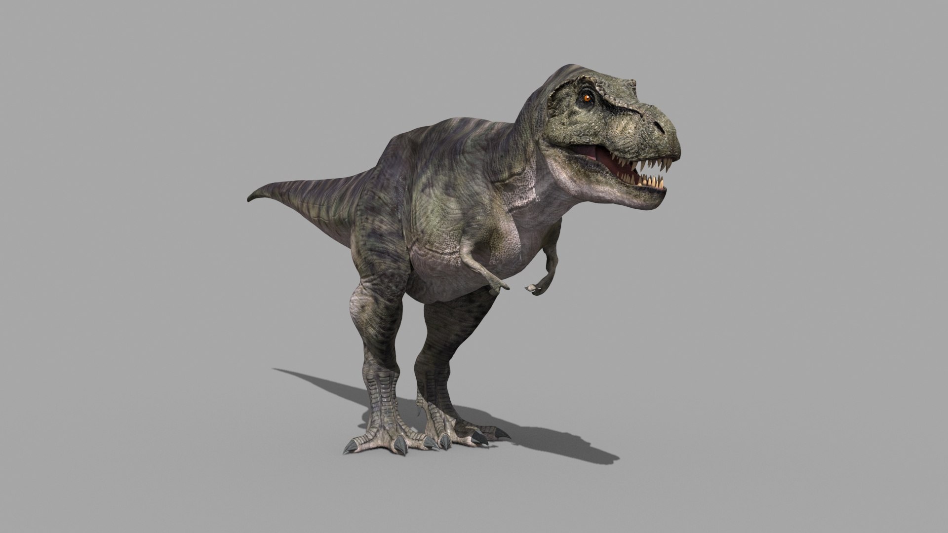 Accurate T Rex 8K - Fully Animated 3D Model - TurboSquid 2347827