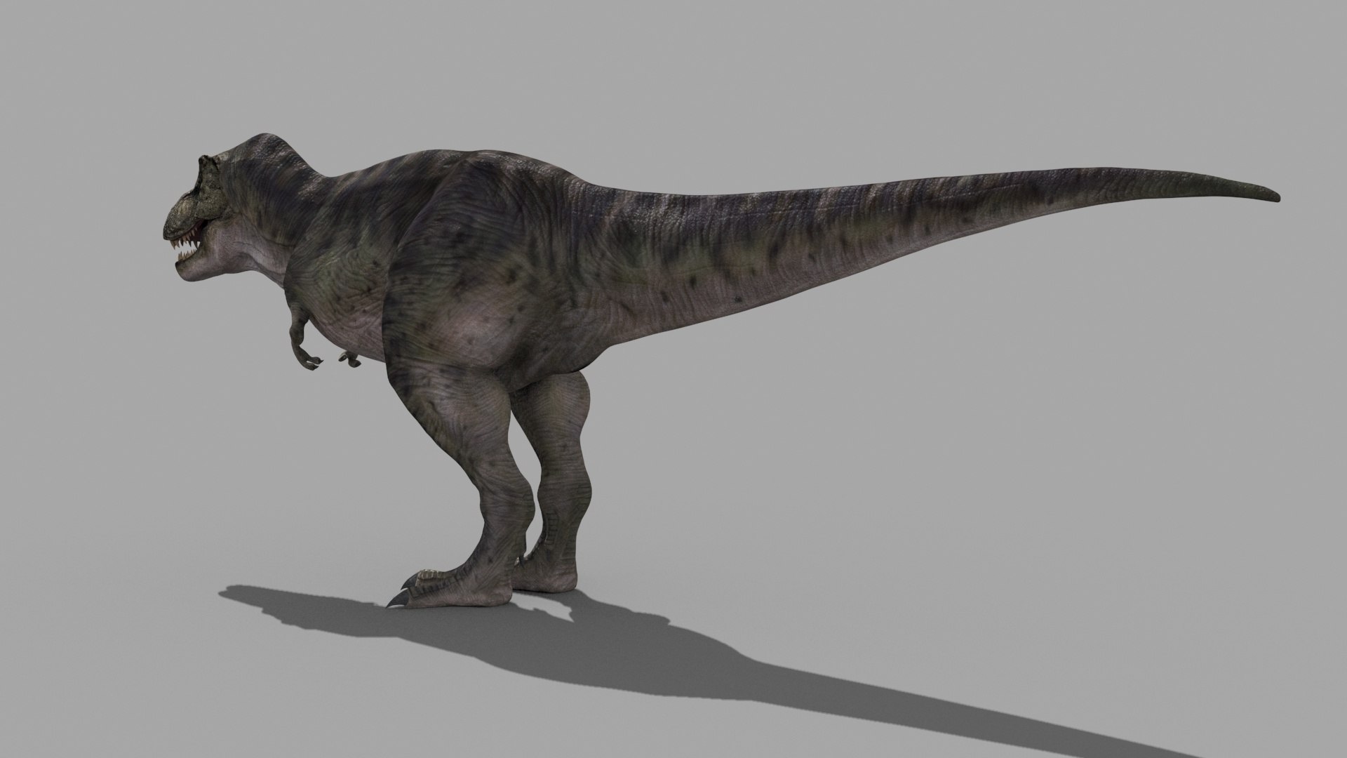 Accurate T Rex 8K - Fully Animated 3D Model - TurboSquid 2347827