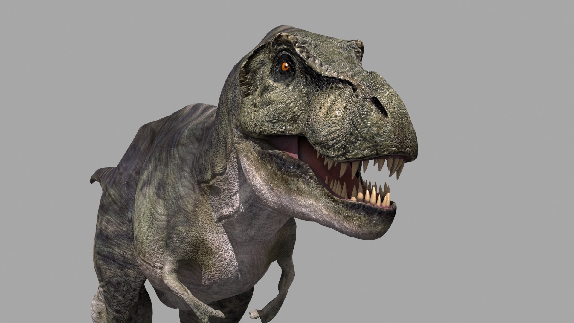 Accurate T Rex 8K - Fully Animated 3D Model - TurboSquid 2347827