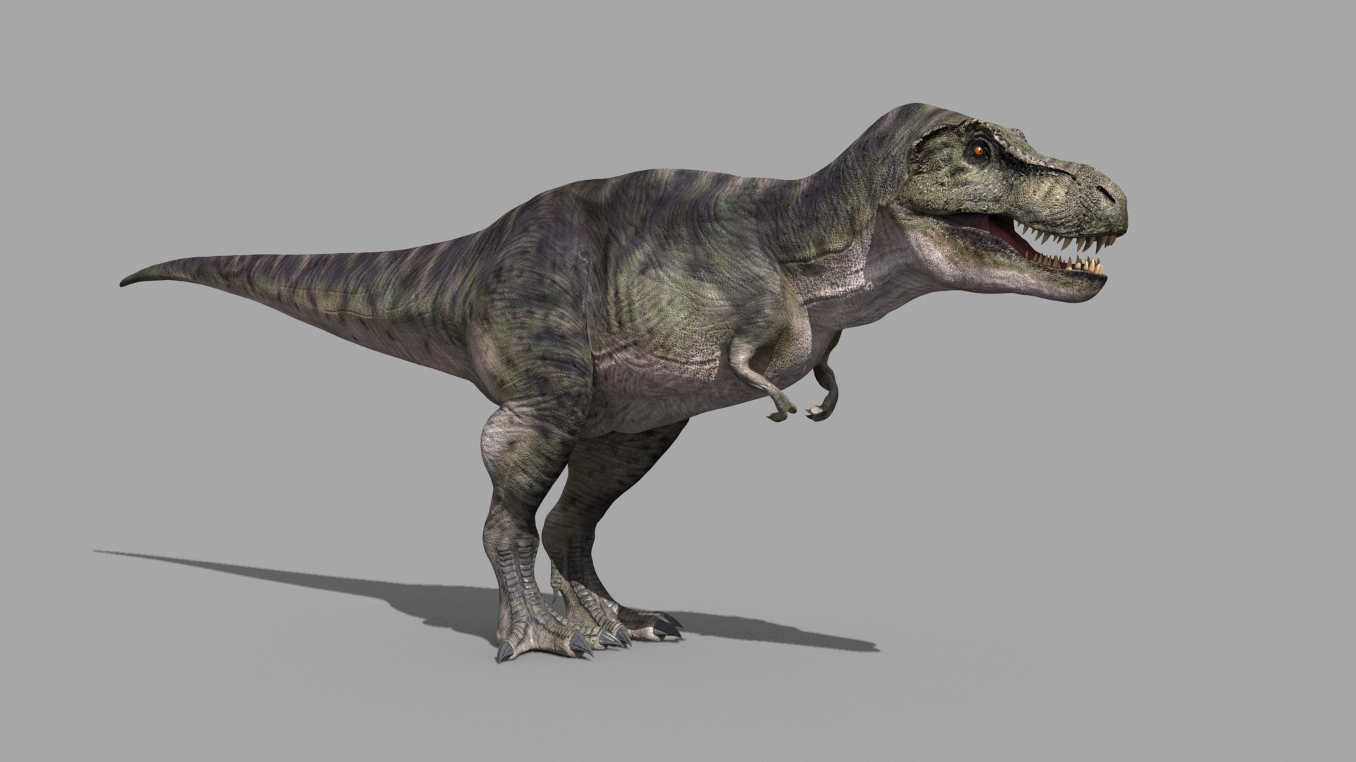 Accurate T Rex 8K - Fully Animated 3D Model - TurboSquid 2347827