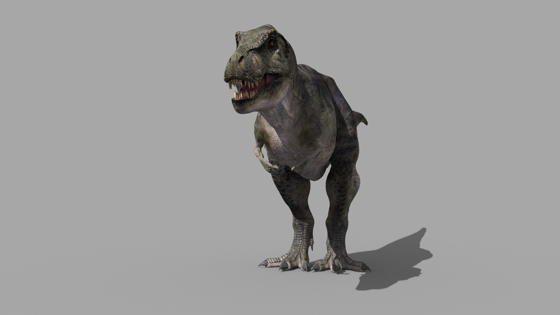 Accurate T Rex 8K - Fully Animated 3D Model - TurboSquid 2347827