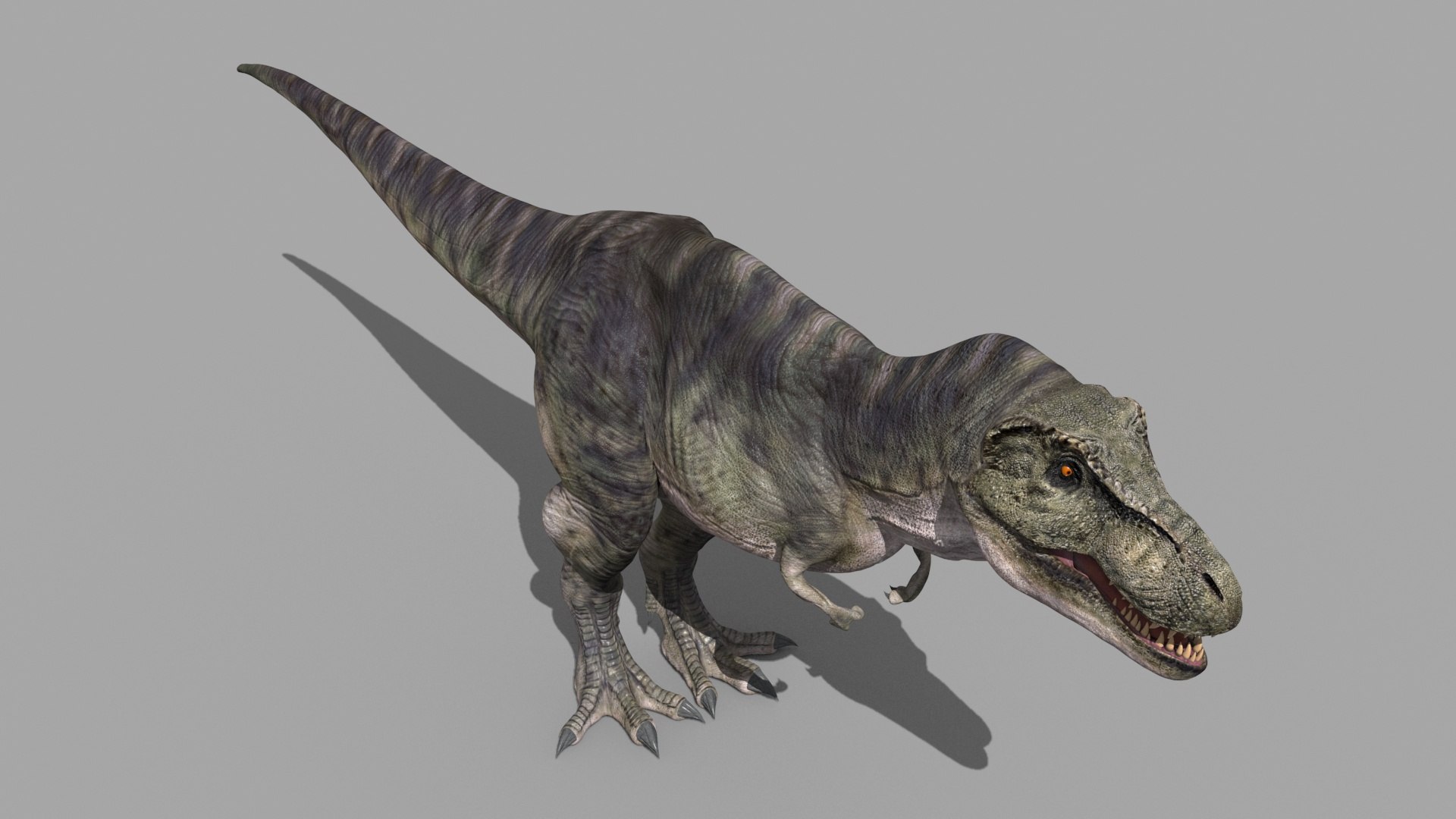 Accurate T Rex 8K - Fully Animated 3D Model - TurboSquid 2347827