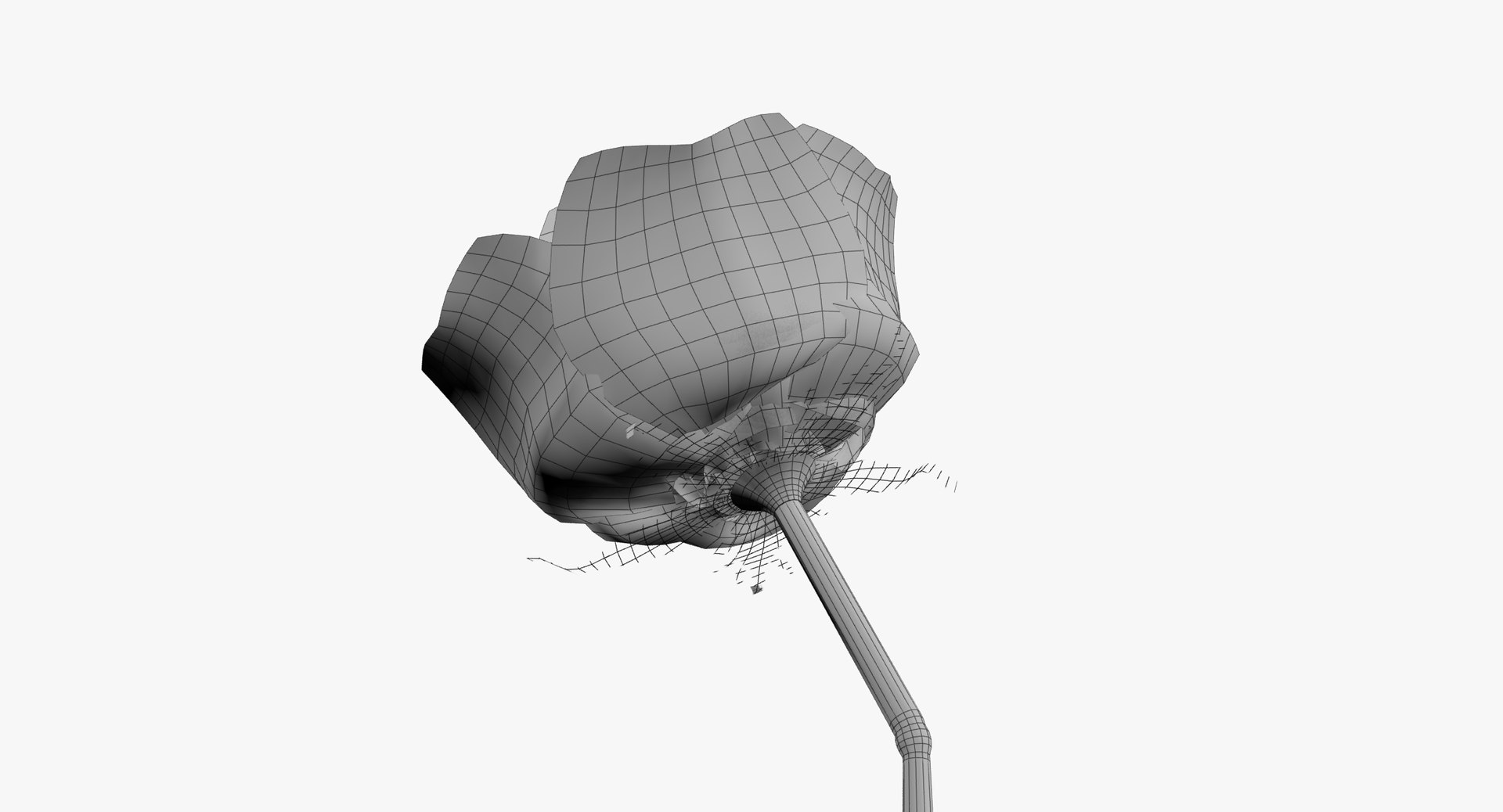 Red rose flower plant model - TurboSquid 1211566