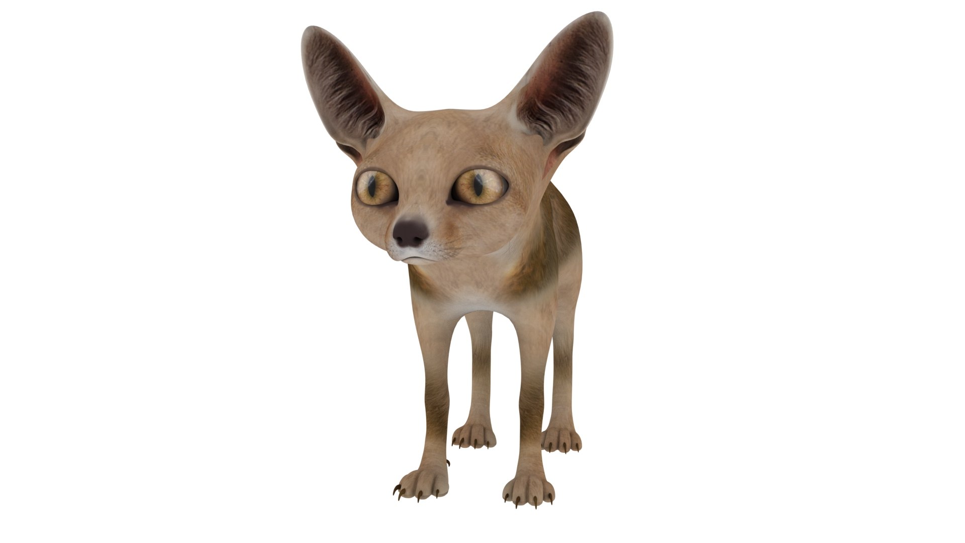 3D fennec fox - TurboSquid 1749191